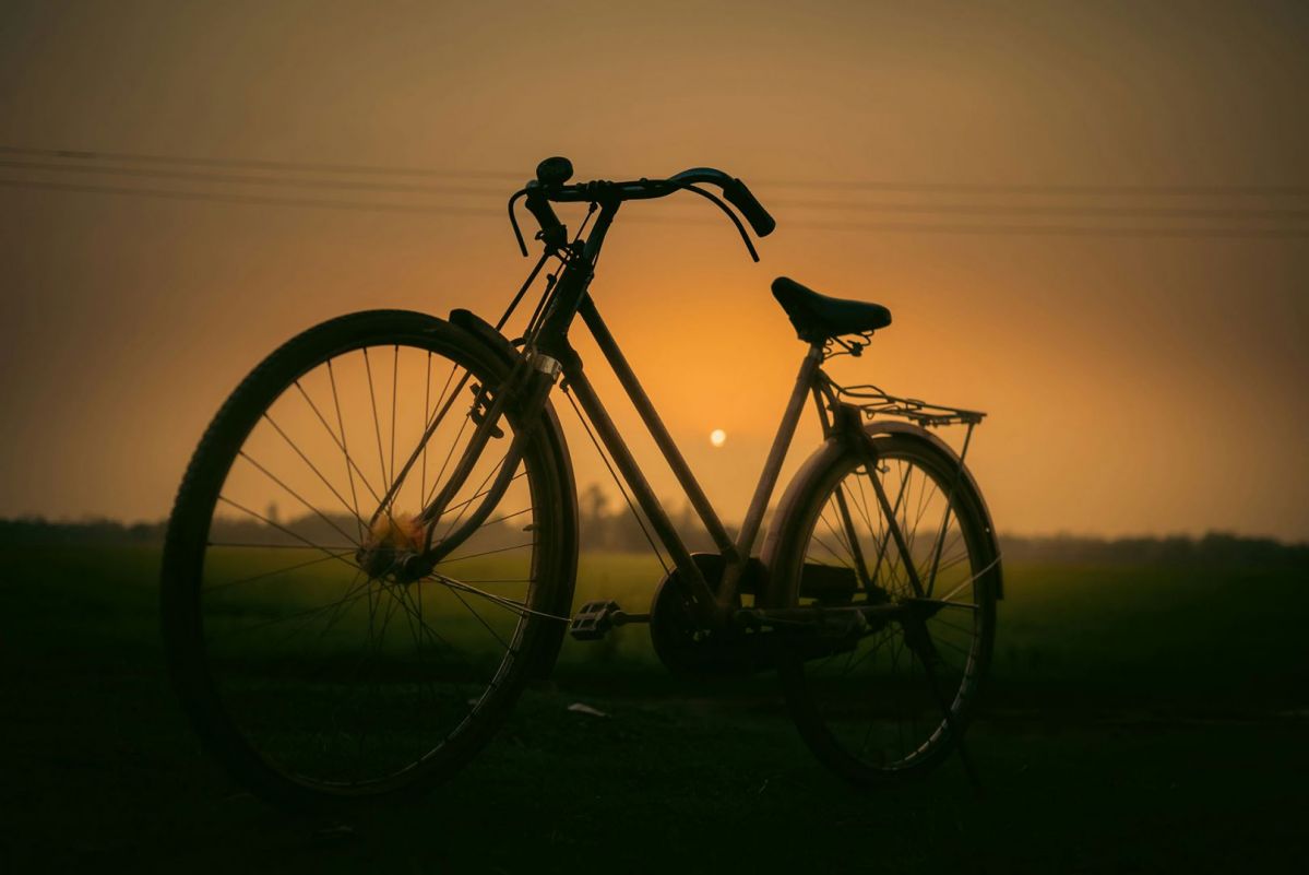 International Studies & Programs at Michigan State University :: News Article