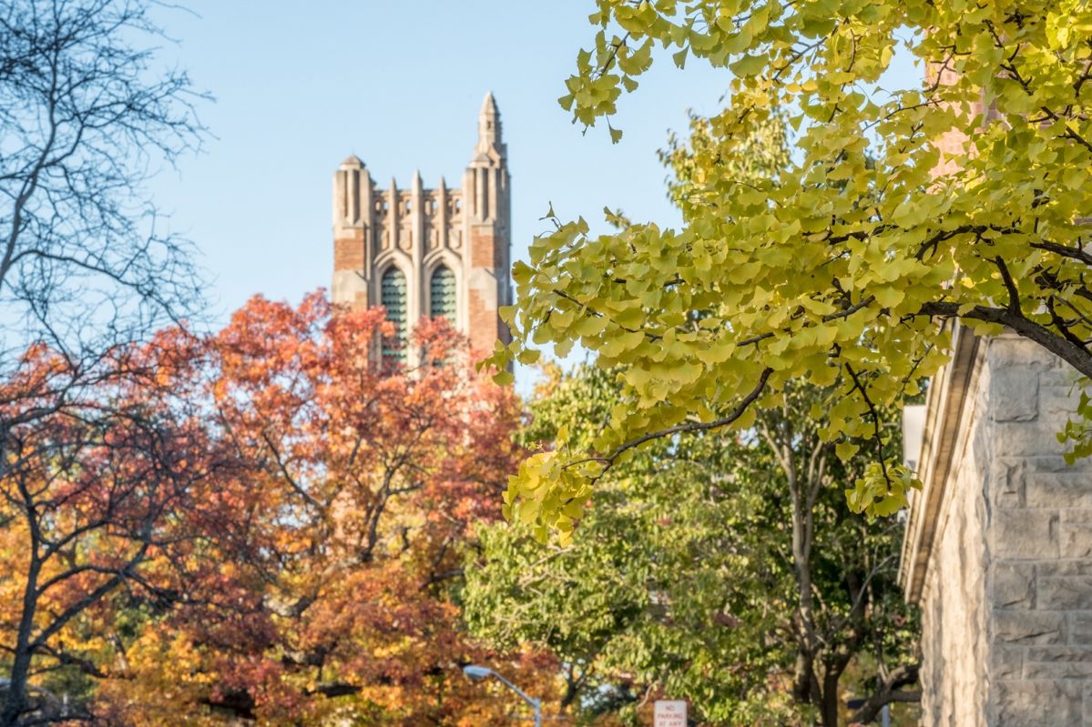 International Studies & Programs at Michigan State University :: News ...
